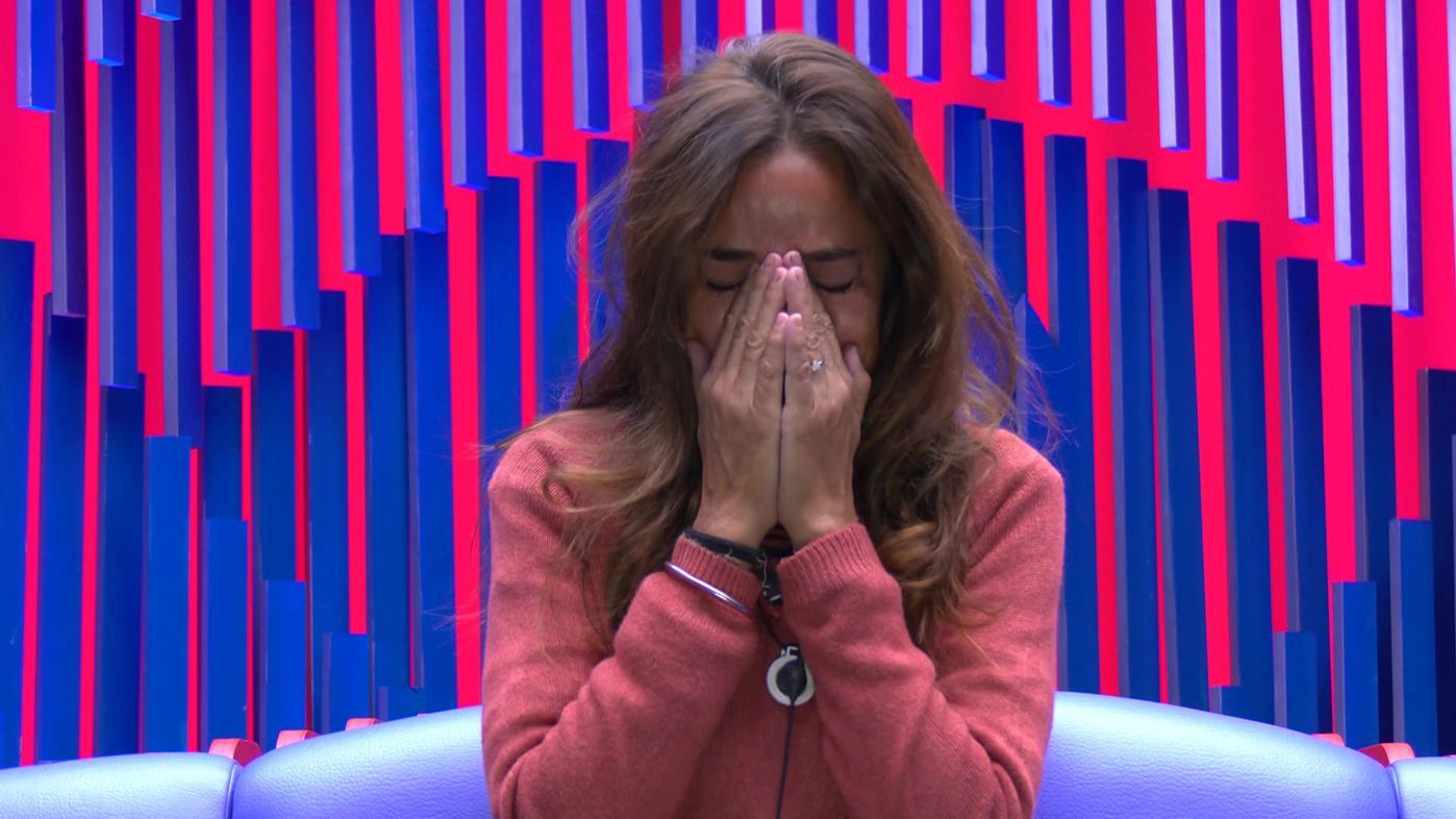 Ver Gh Vip Resumen Diario Completo Mitele