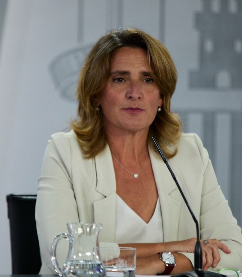 Teresa Ribera: noticias, vídeos e imágenes - Telecinco