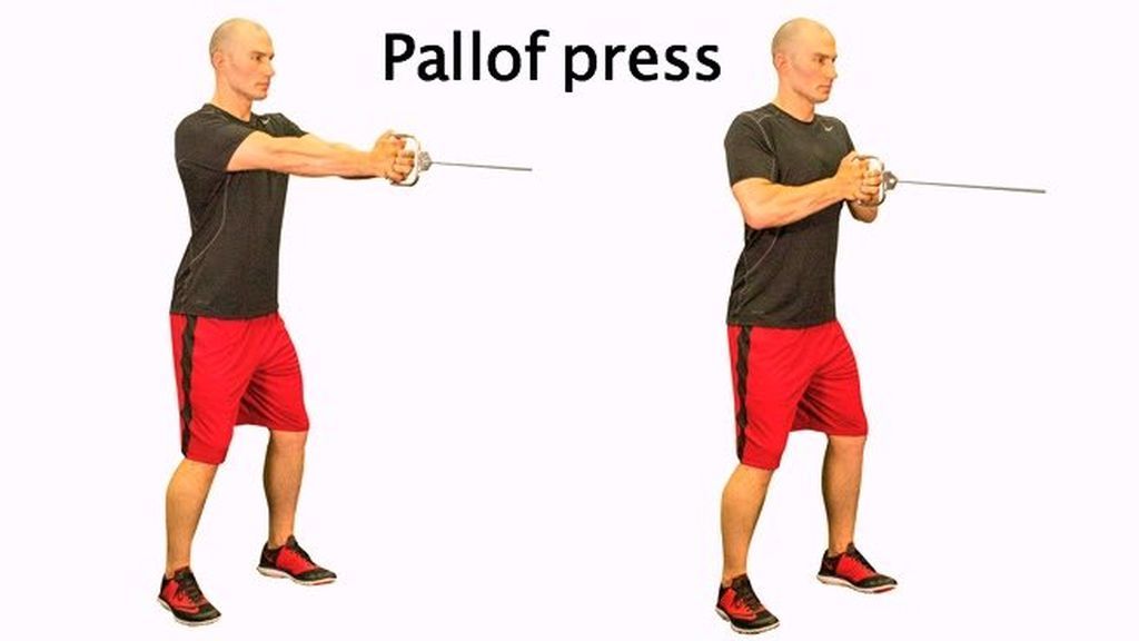 Press Pallof: como hacer este ejercicio y variaciones - Deportes Cuatro