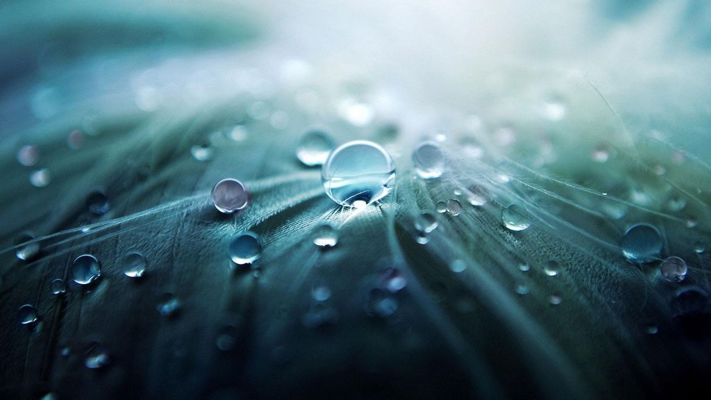 Qué es el petricor - NIUS