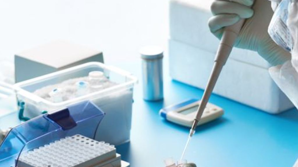 La plitidepsina: qué es y en qué fase están los ensayos de este medicamento