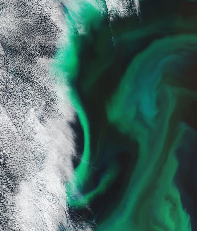 ¿Por qué tiene esos colores en esta imagen el océano Pacífico ...