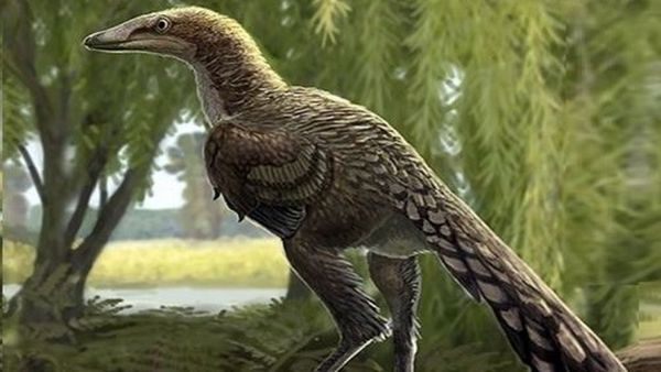 Hallan en España un dinosaurio desconocido del Cretácico - Informativos ...