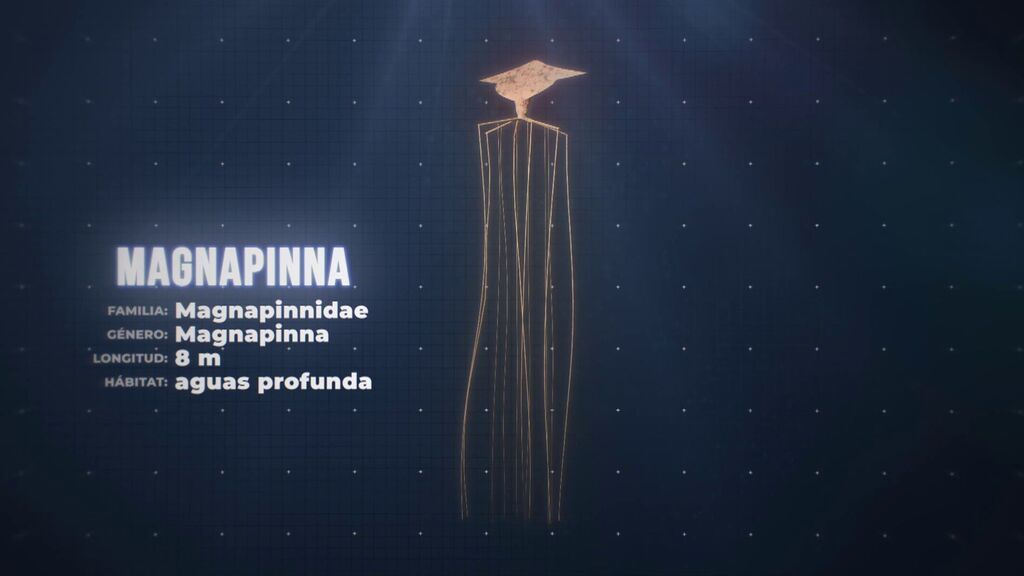 La realidad supera la ficción: el extraño ser marino que recuerda a 'La ...