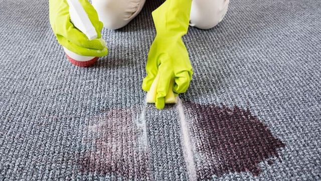Cómo Limpiar Las Alfombras De Casa De Forma Fácil Y Rápida Divinity