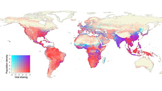 El cambio climático desencadenará la próxima pandemia mundial