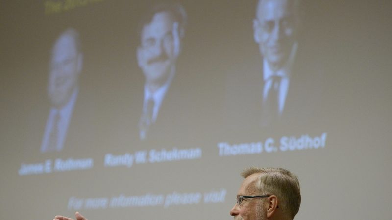 James E. Rothman, Randy W. Schekman y Thomas C. Südhof, Nobel de ...