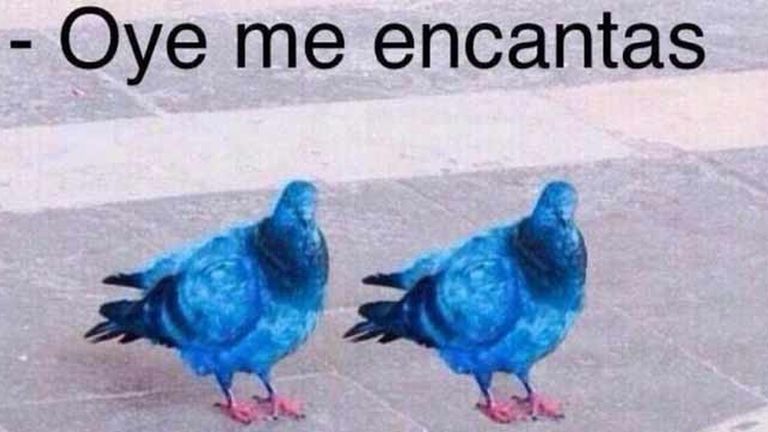 'Memes' de indignación por el doble check azul de WhatsApp