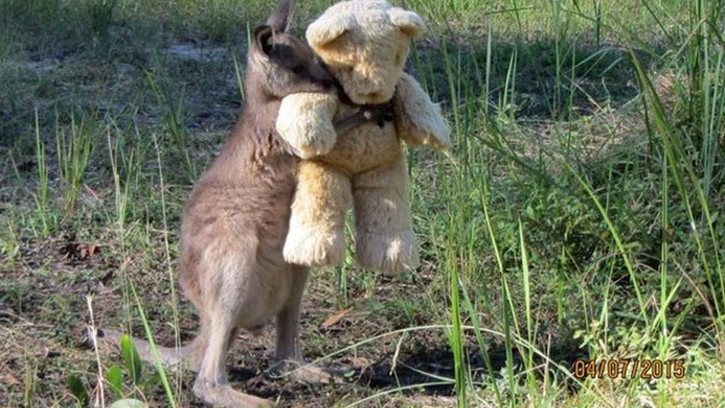 La entrañable imagen del bebé canguro que se convirtió en viral