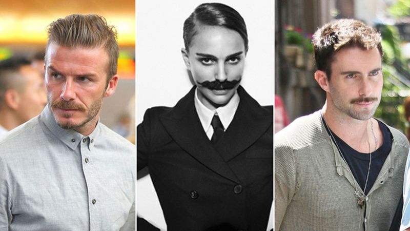 ¡Bigotes por todas partes! ¿Por qué?