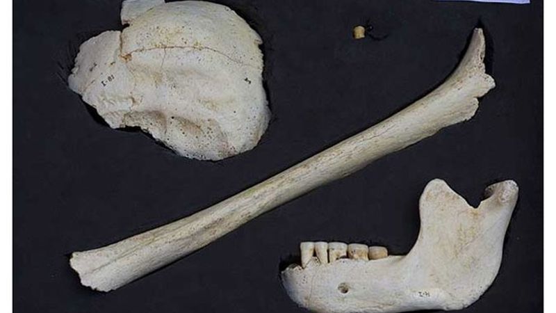 "Excelentes" nuevos restos de Homo Heidelbergensis hallados en Atapuerca