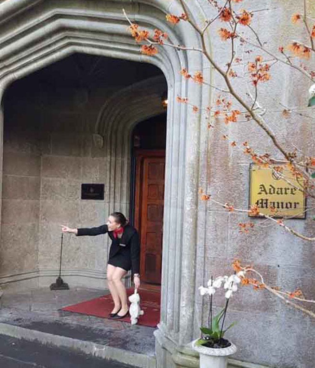 Tratamiento VIP para un peluche