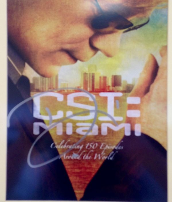 Celebramos las 10 temporadas de CSI Miami