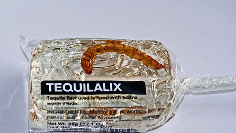 Las comidas más asquerosas del mundo