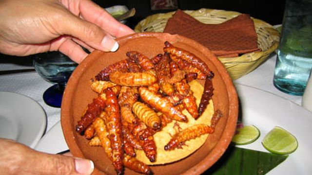 Las comidas más asquerosas del mundo