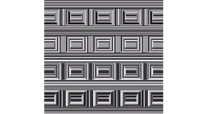 ‘Coffer Illusion’: El nuevo reto visual de Internet