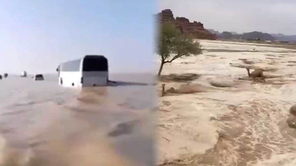 Desierto Inundado Y Camellos Nadando Llueve En Cuatro Días Lo Mismo