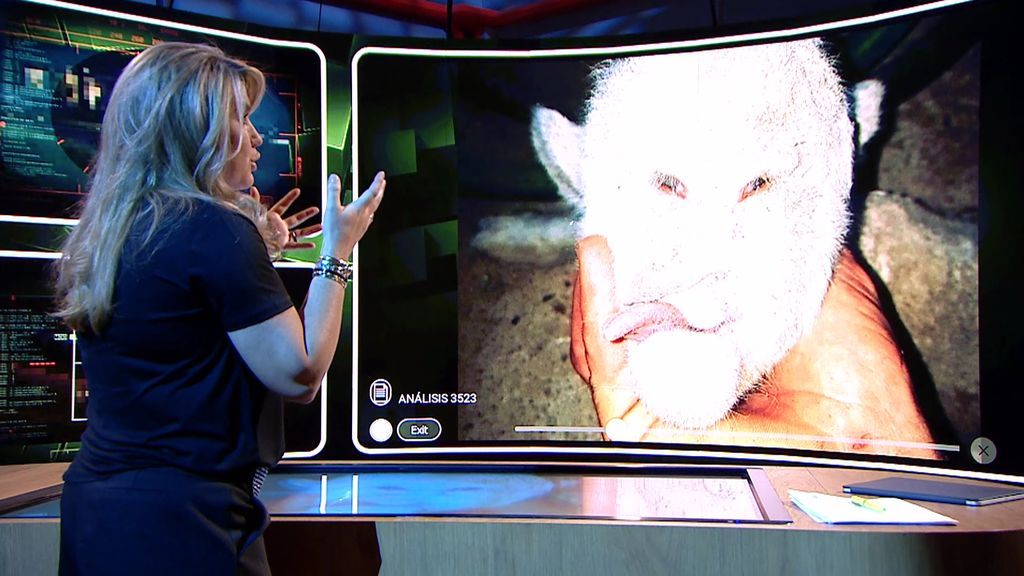 La foto de un animal mutante: es un borrego con cara de simio