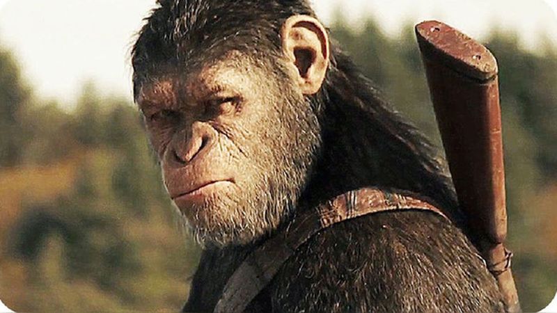 Simiomanía: ¿qué César eres hoy? | El planeta de los simios