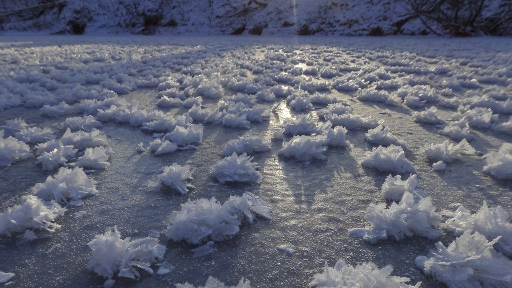 ¿Cómo se crean las flores de hielo sobre aguas heladas? - El Tiempo Hoy