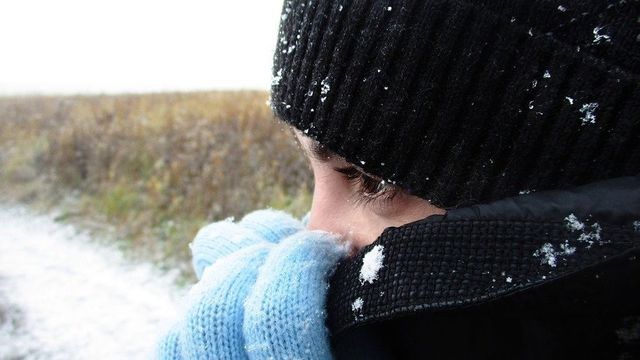 Frioleros vs seres estufa: por qué el termostato funciona diferente ...