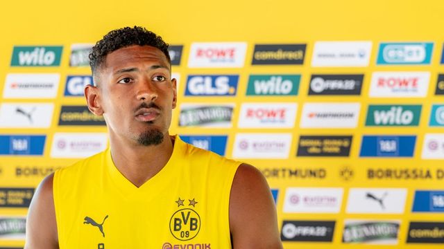 Sebastien Haller , un cáncer testicular lo obliga a dejar el fútbol