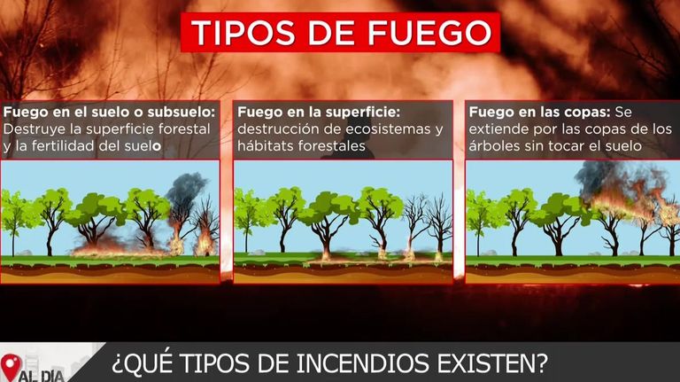 Cuándo un fuego es inextinguible: cómo se propagan y los tipos de ...