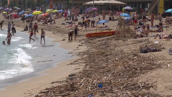 Suciedad en las playas de Barcelona tras los temporales - NIUS