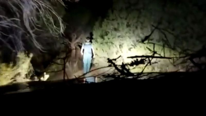 Restacan a tres niñas perdidas durante la noche en Doñana, Huelva