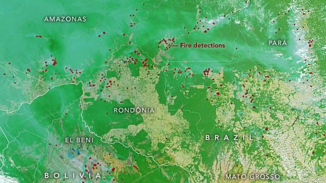La selva amazónica, invisible bajo el humo de miles de incendios