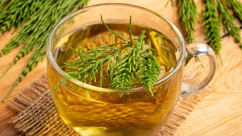 5 infusiones detox que necesitas añadir a tu rutina diaria - Divinity