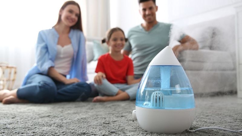 Los mejores humidificadores para aumentar la humedad en tu hogar y ...