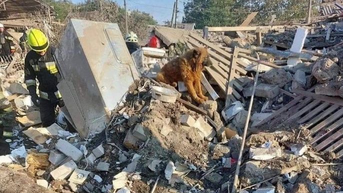 Serious - War in Ukraine (Cont'd). | Page 535 | Army Rumour Service