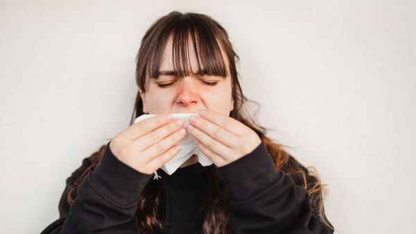 Flemas, qué son y cómo se forman