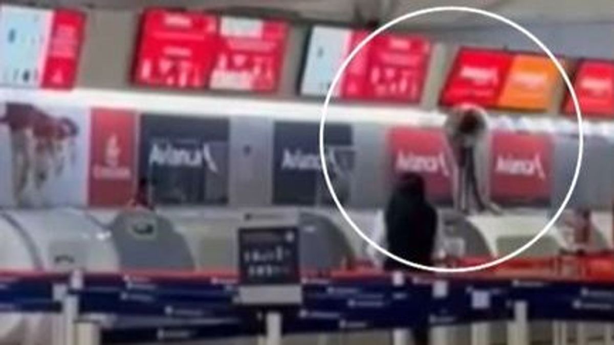 El ataque de ira de una pasajera al no poder volar de México a Catar