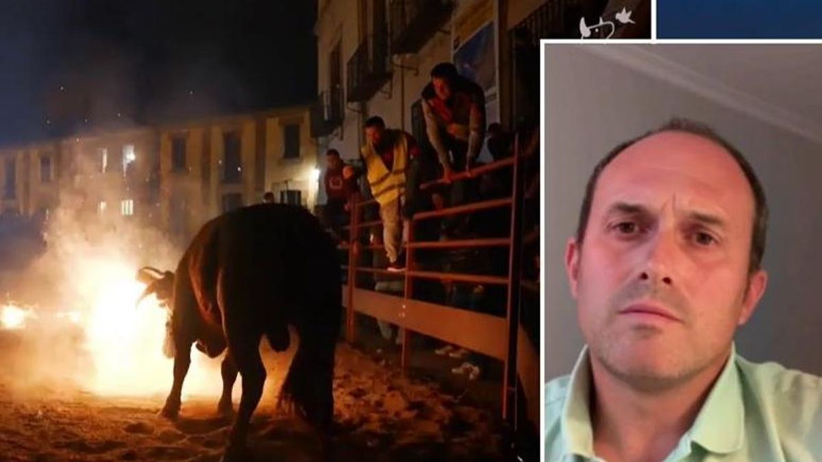 Toro de júbilo: "Para hablar de maltrato, hay que conocer la naturaleza ...