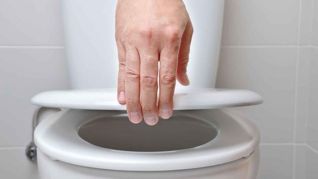 Cómo desatascar un WC de forma efectiva y rápida - Divinity
