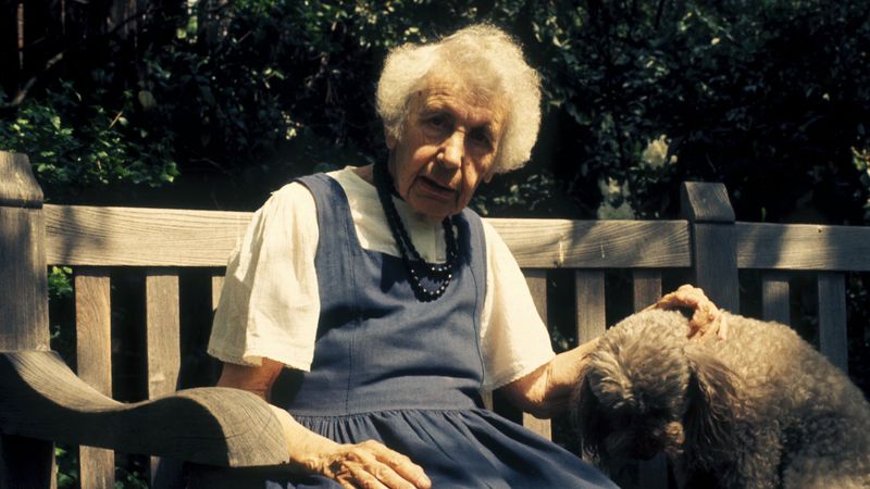 Anna Freud, la frágil solitaria que se convirtió en pionera del ...