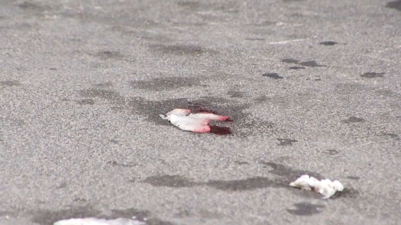 Una Mujer Embarazada Muere Tras Recibir Un Tiro En La Cabeza En Castellón