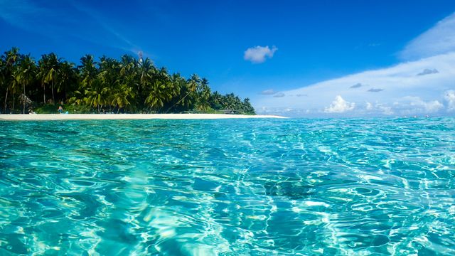 Elevar la altura de las islas para salvar Maldivas del aumento del ...