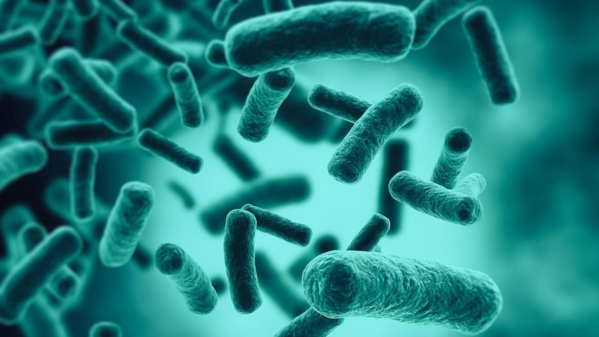 Cases of shigellosis, a diarrheal illness, have elevated since ...