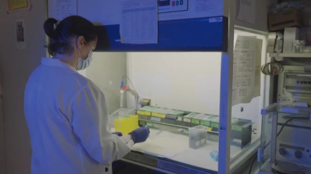 AstraZeneca creará 1000 puestos de trabajo en su nuevo centro europeo ...