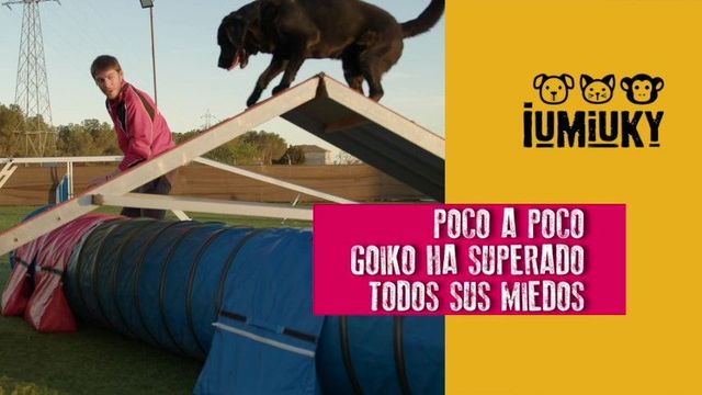 IUMIUKY - Programa completo 160 - IUMIUKY - Cuatro.com
