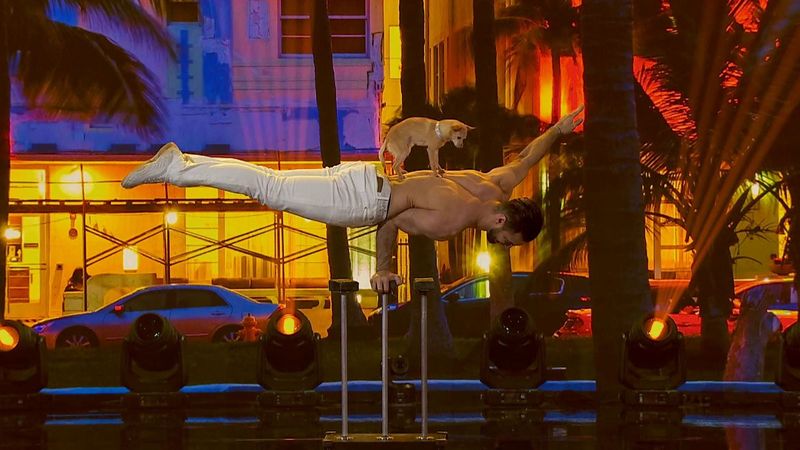 Christian y su chihuahua arrasan en 'Got talent: All stars': "Es mi ...