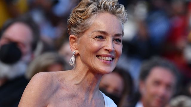 Sharon Stone muestra su cuerpo a los 65 años con un posado contra el ...