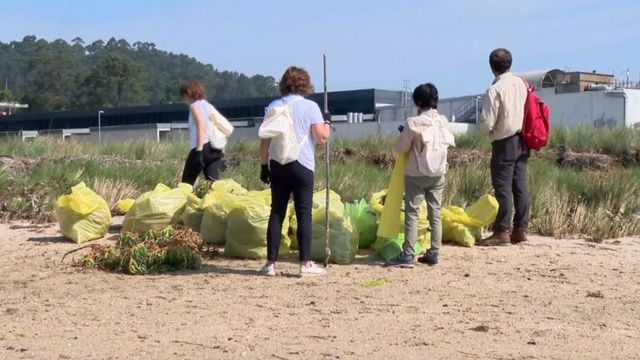 Miles de voluntarios participan en la gran recogida de basuraleza