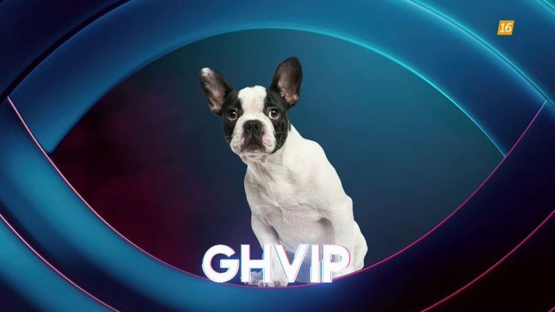 Pistas de un nuevo concursante de GH VIP: un burro, una Barbie, un ...