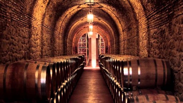 Planes Gourmet: Bodegas Riojanas, una de las bodegas centenarias de La ...