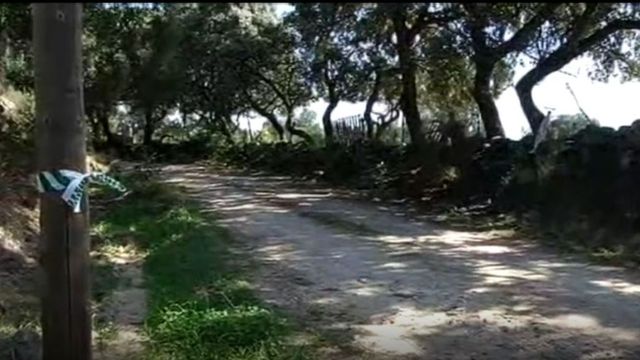 Hallan el cadáver de una mujer con signos de violencia en un camino de Toledo