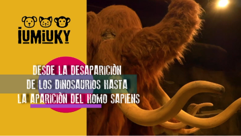 Ver 'IUMIUKY' (22/10/23), online y completo en Cuatro